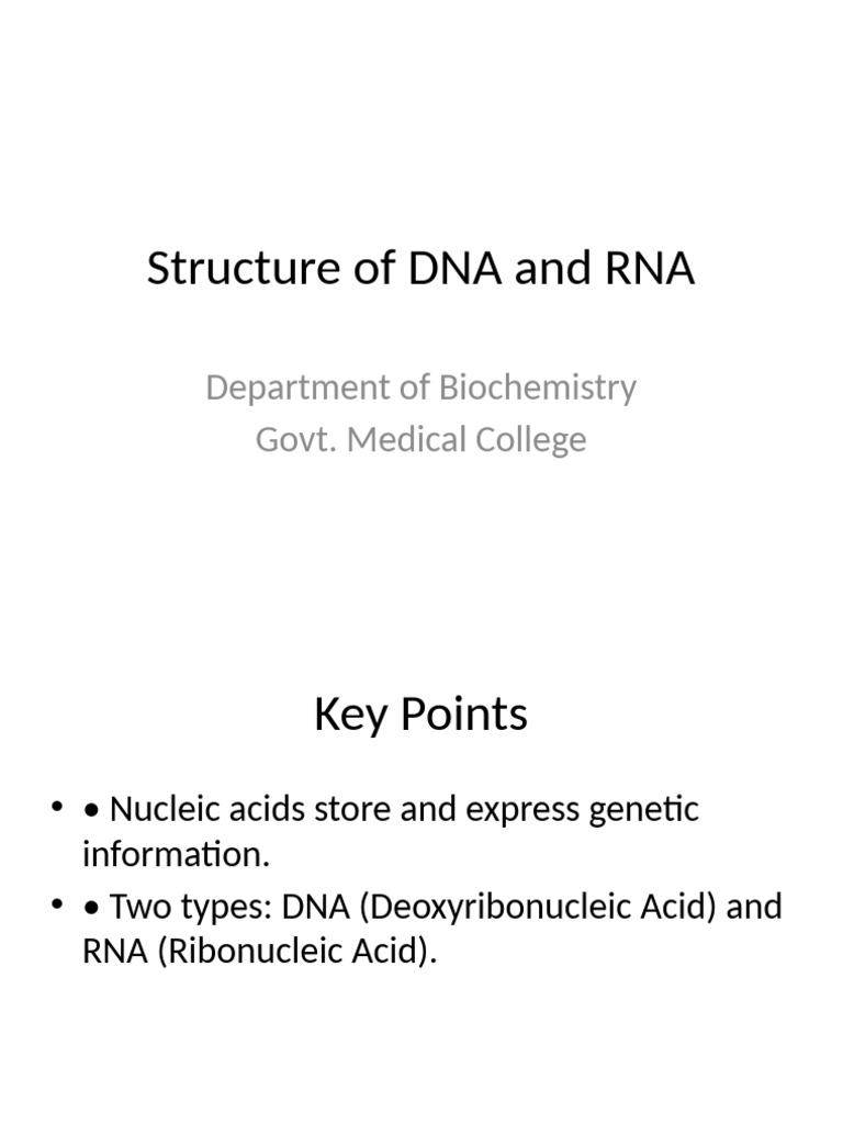 Structure of DNA and RNA Poster | PDF