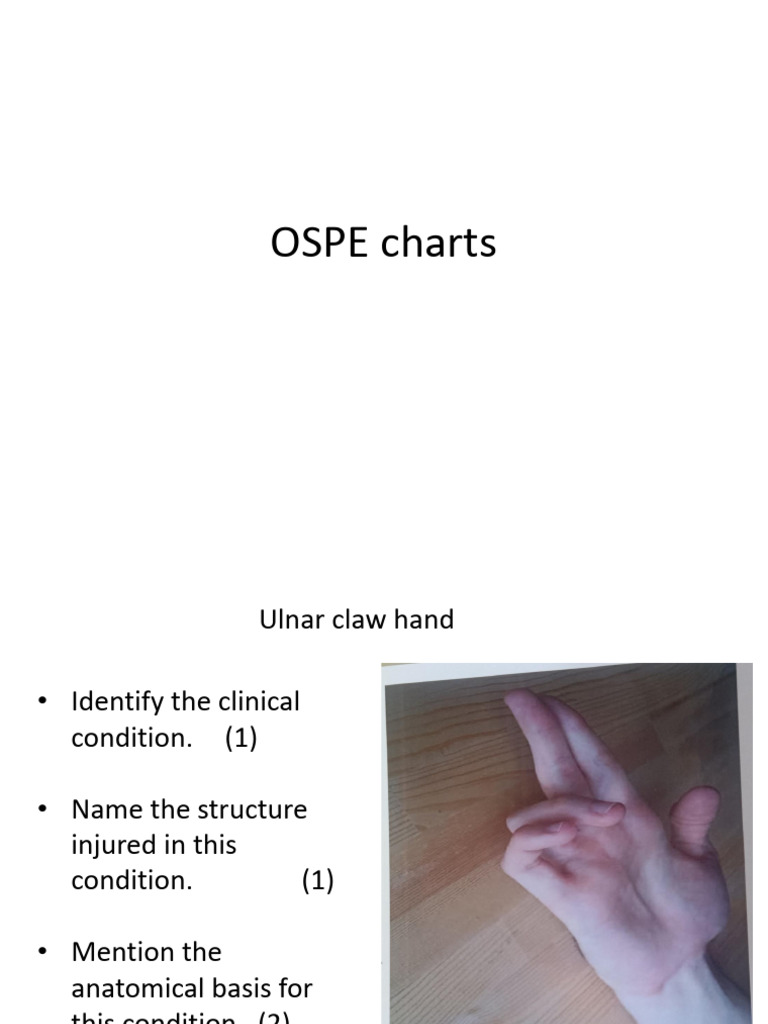 Ospe Embryo Radio (1) .Pptx-1-24 | PDF | Diseases And Disorders ...