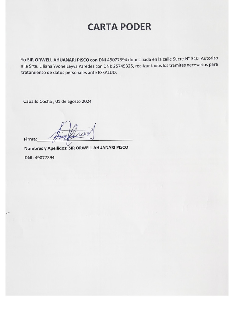 carta poder sir | PDF