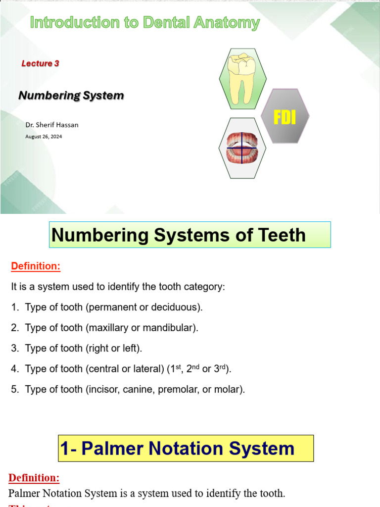 Introduction To Dental Anatomy (Lecture 3) 2025 | PDF | Dental Anatomy ...