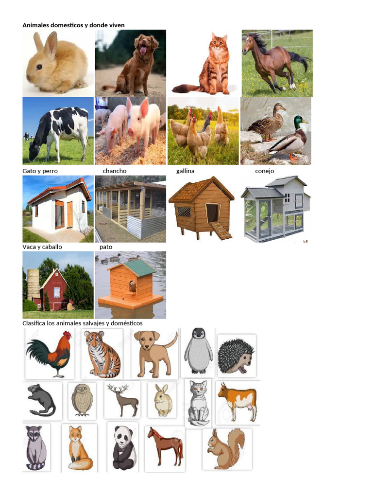 Animales domésticos y su hábitat | PDF