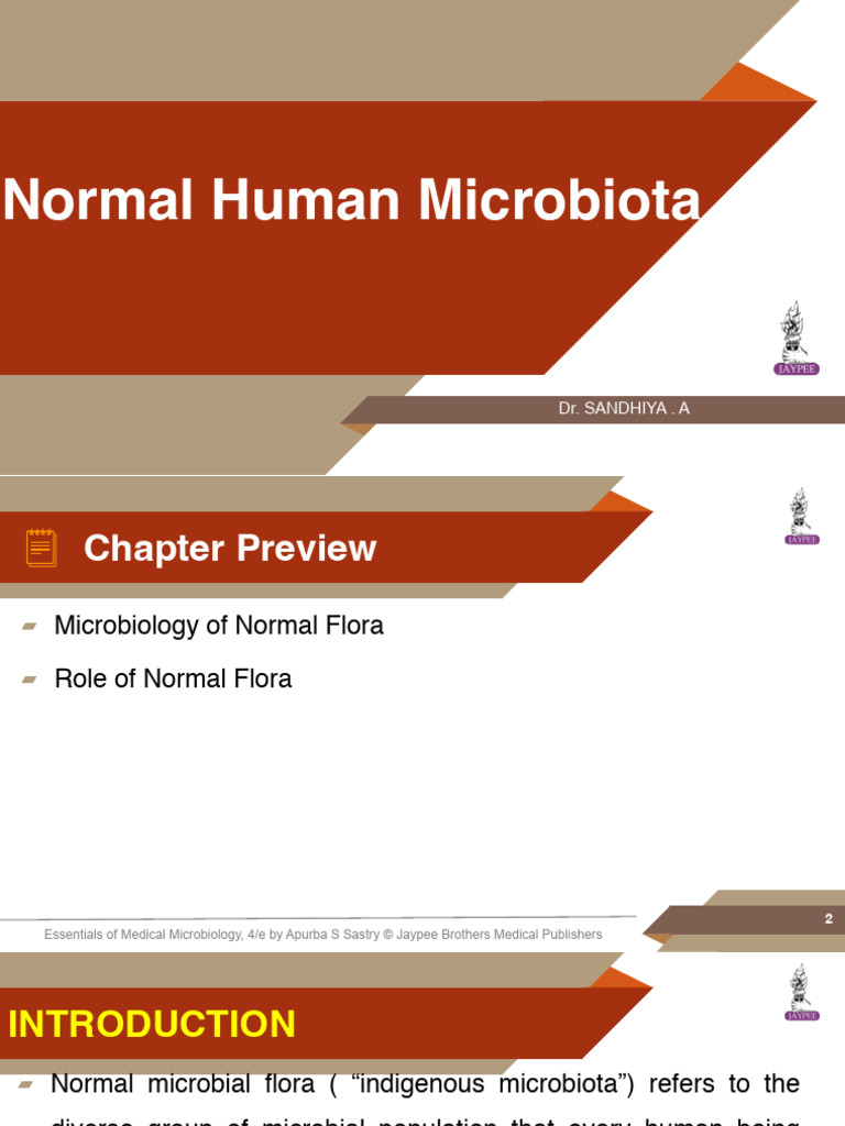 Understanding Normal Microbiota | PDF | Probiotic | Medical Microbiology
