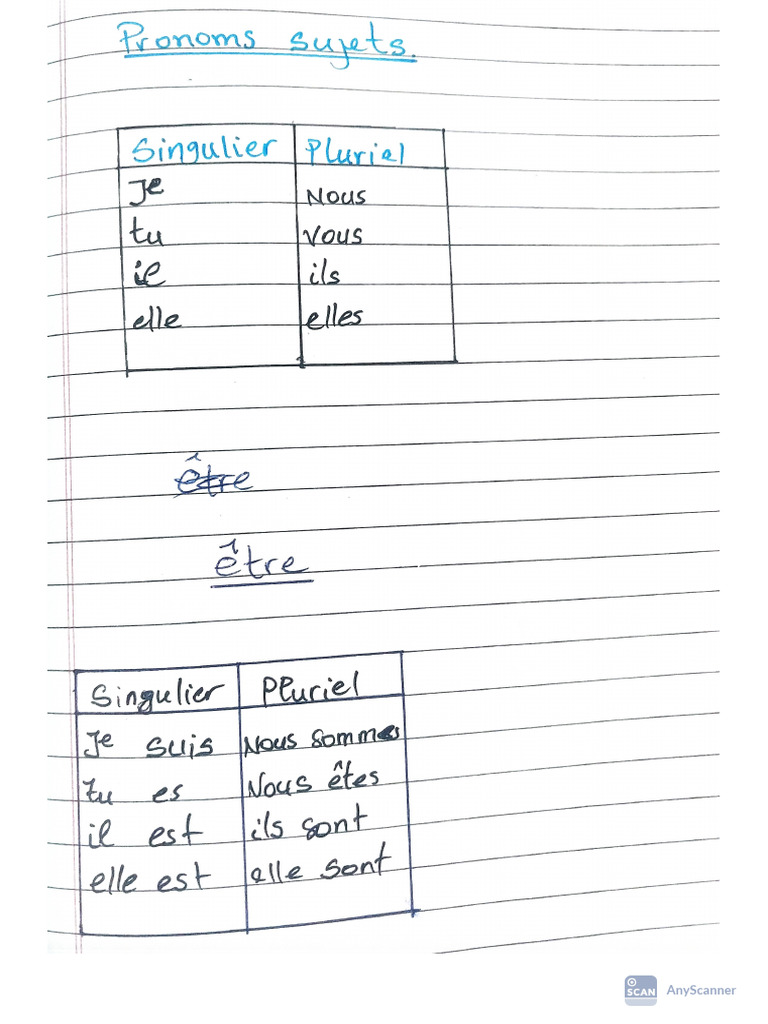 Gr-3 French Revision Notes Ass-1 | PDF