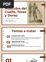 Técnicas de Cervicotomía | PDF | Especialidades Medicas | Medicina CLINICA