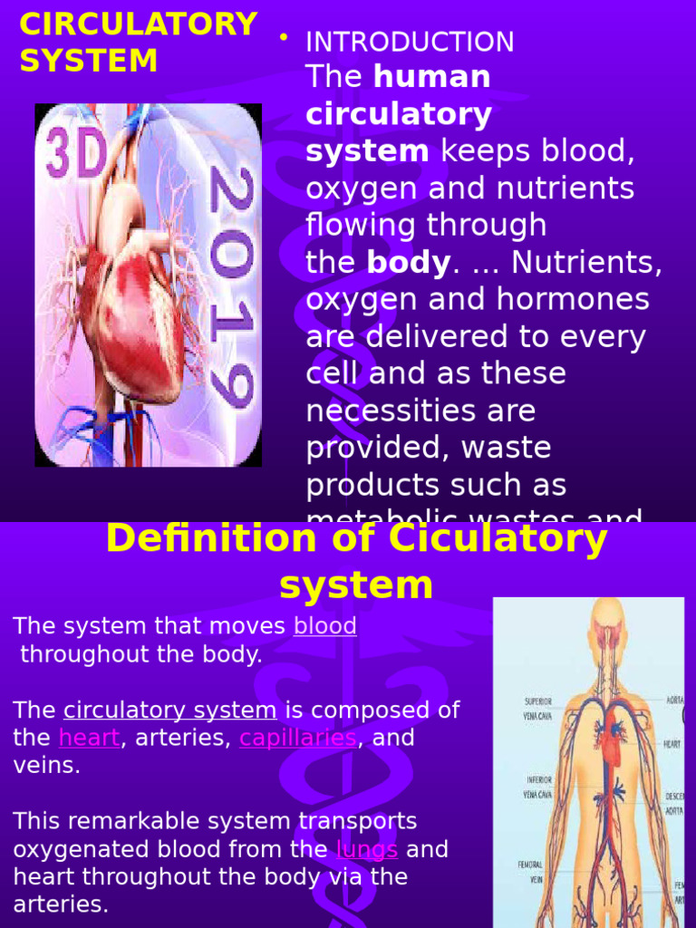 Circulatory System (Complete | PDF | Lymph | Circulatory System