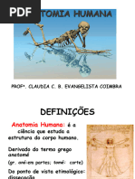 Variações Anatômicas do Seio Transverso | PDF | Seio