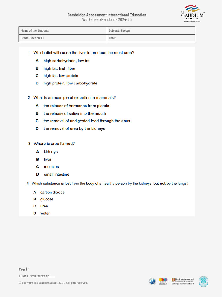 Excretion in Humans Worksheet Igcse | PDF | All Rights Reserved ...