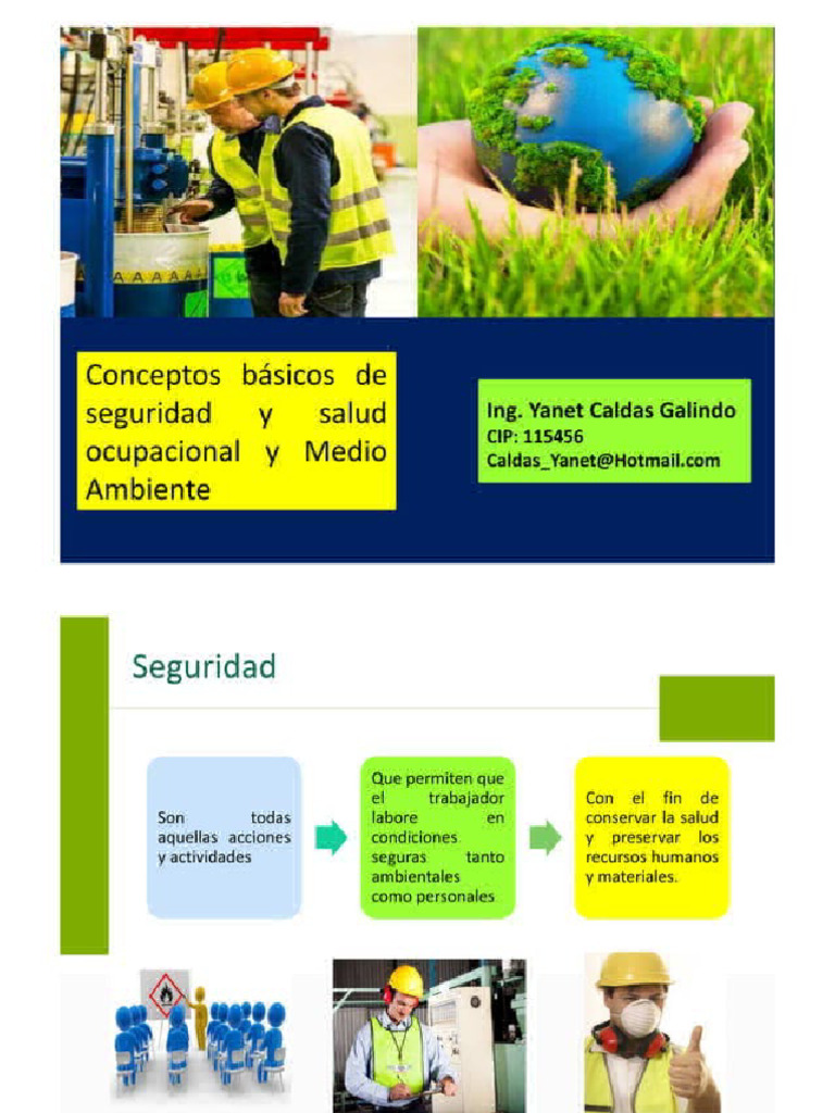 Conceptos SST 1 | PDF