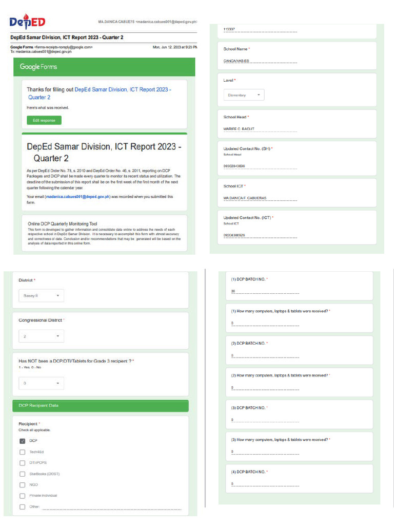 DCP Inventory Report | PDF