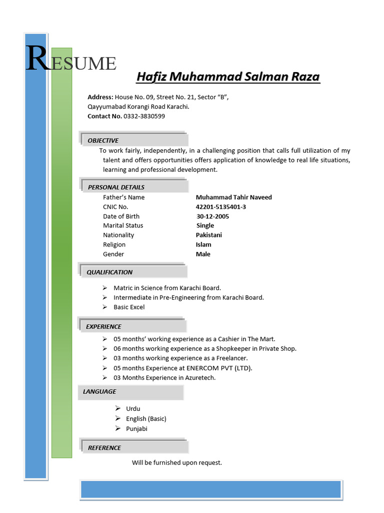 Hafiz Muhammad Salman Raza | PDF
