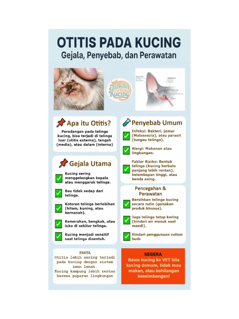 Infografis Otitis Pada Kucing | PDF