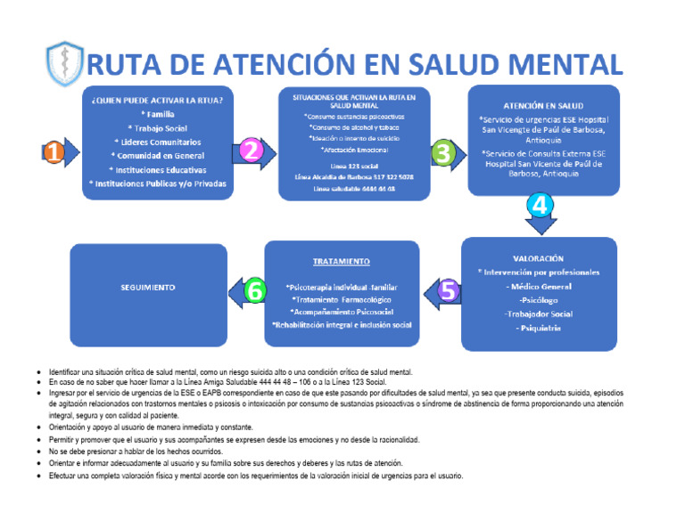 Código Dorado en Salud Mental | PDF