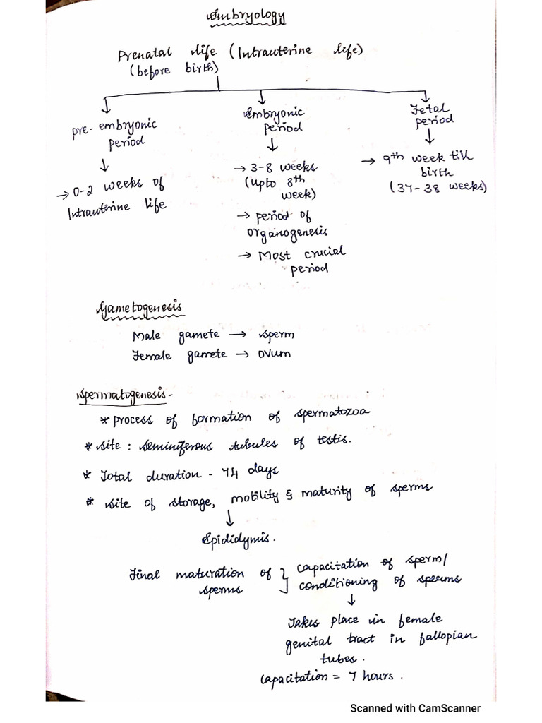 Embryology - The Concised Notes For Medical Students | PDF