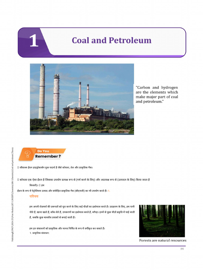 Coal+and+Petroleum 1 | PDF