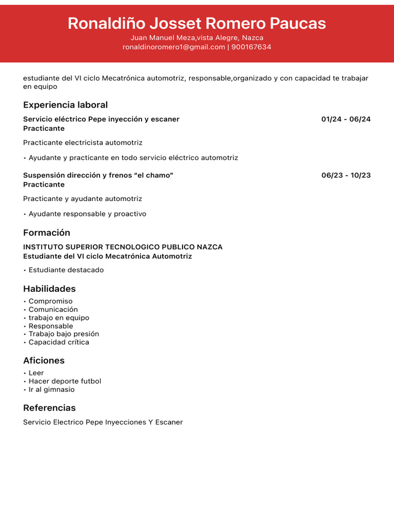 Mi CV | PDF