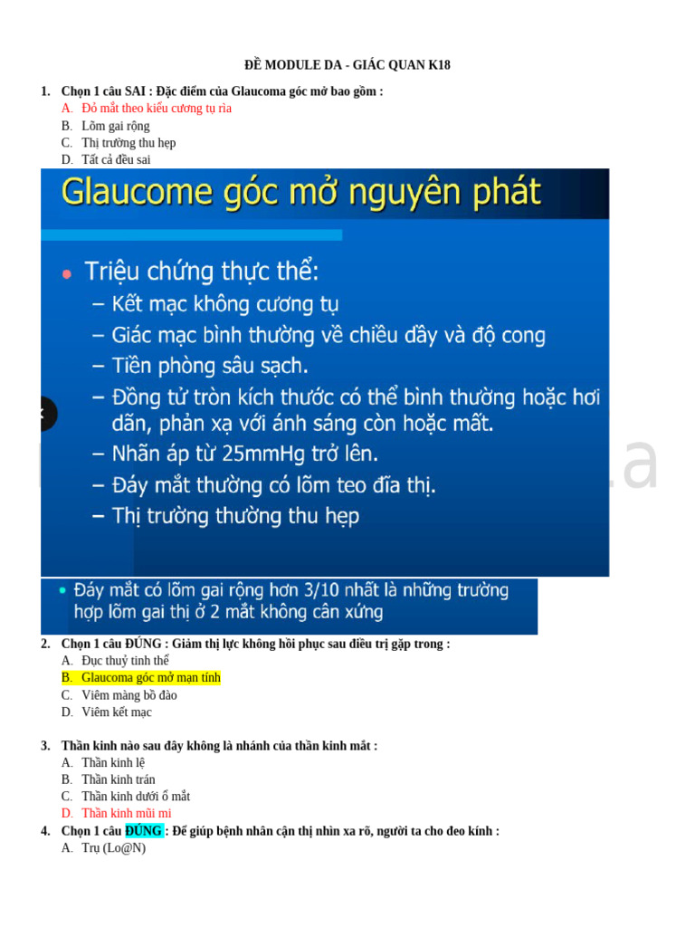 Đề Module k18 | PDF