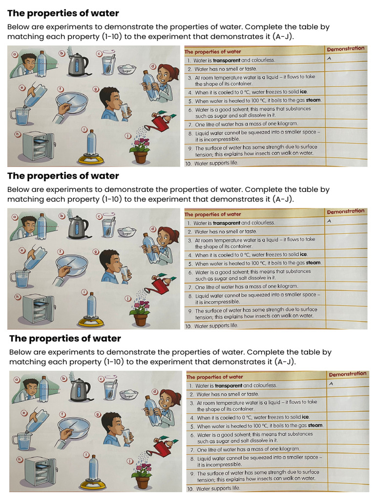 Water Properties Worksheet + Science Book Pic | PDF