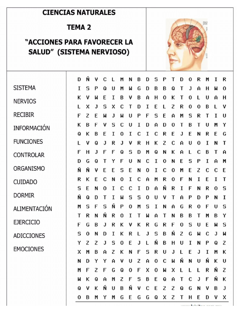 Sopa Letras Ciencia | PDF