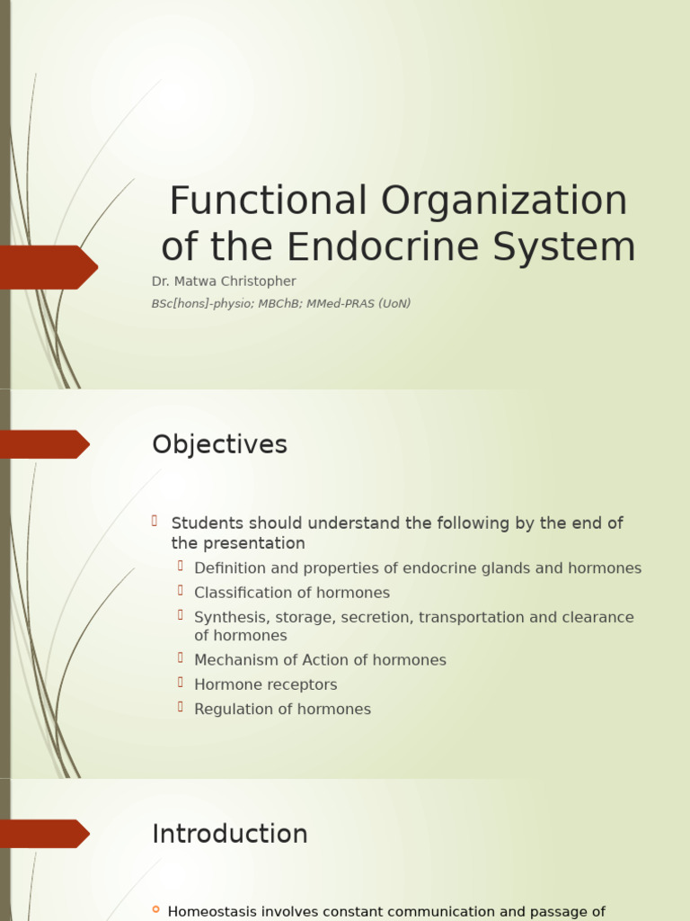 Functional Organization of The Endocrine System | PDF | Hormone ...