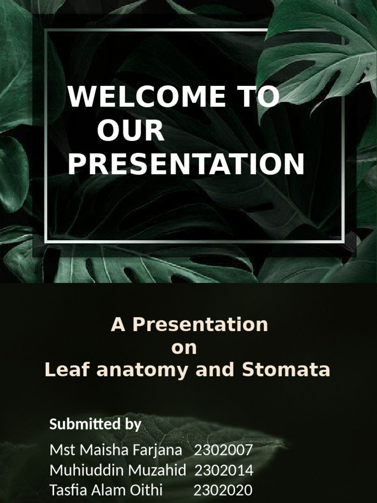 Presentation 1 Maisha | PDF