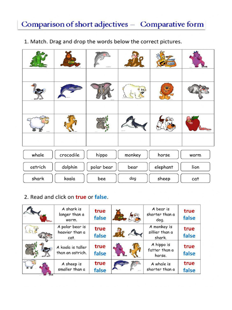 Animal, Comparative | PDF