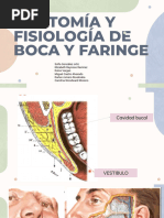 FARINGE y LARINGE - Anatomía II, Veterinaria | PDF | Laringe ...