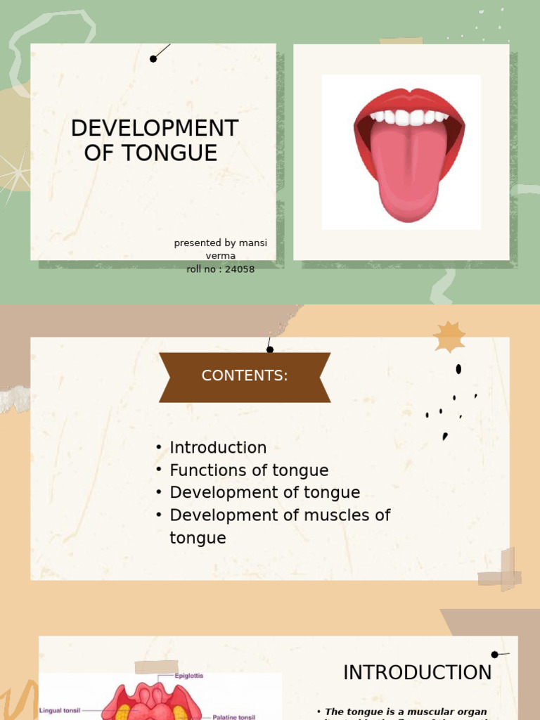 Development of Tongue - 20250707 - 184959 - 0000 | PDF | Tongue | Human ...