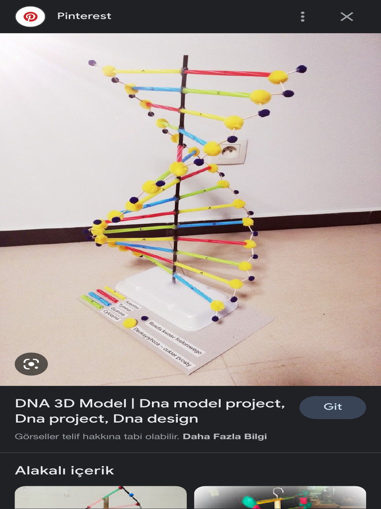3d Dna Modeli - Google Arama | PDF