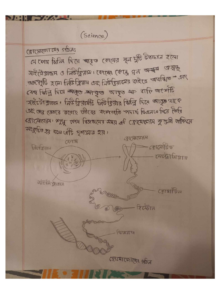 Received 1270733847298056 | PDF