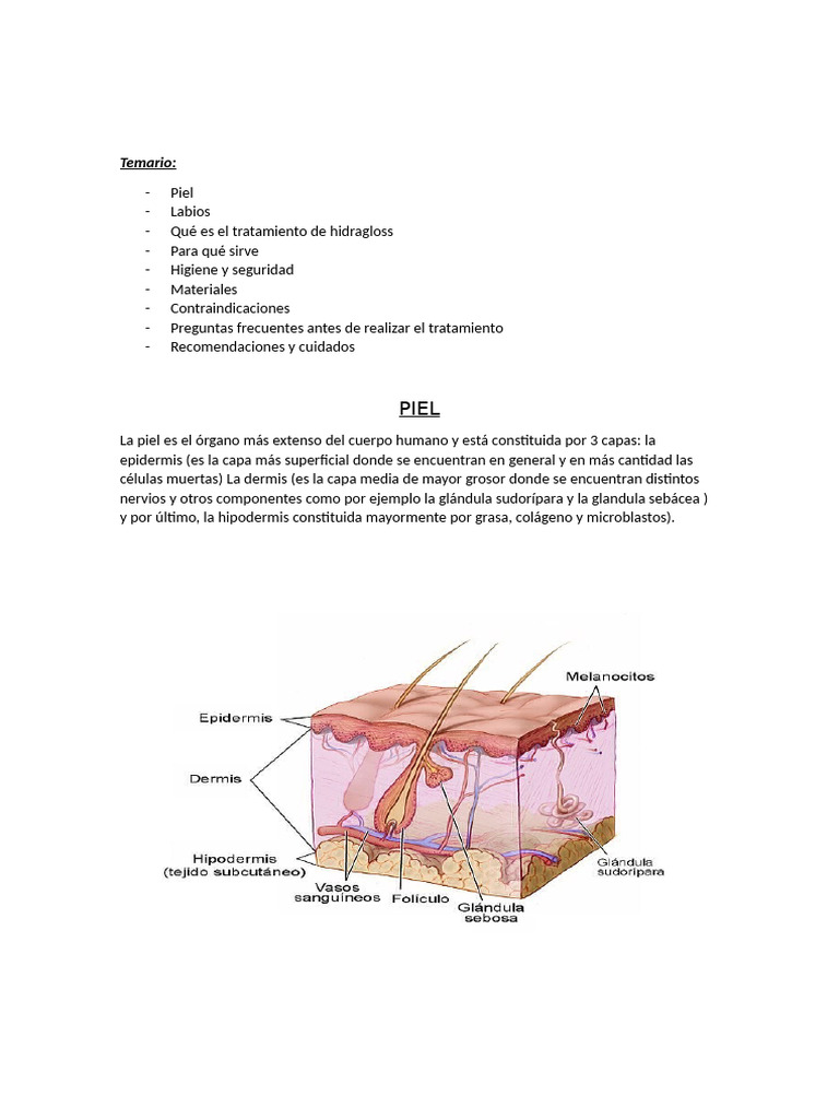 Tratamiento Hidragloss para Labios | PDF | Piel