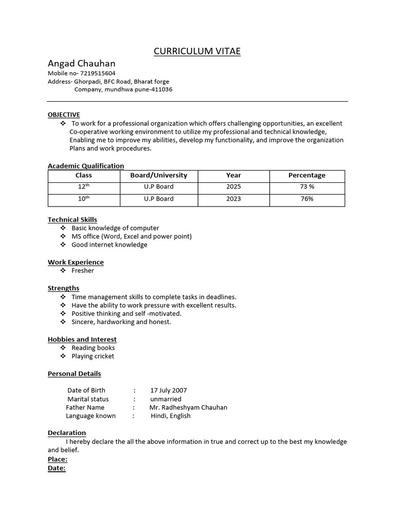 Angad Chauhan's Professional CV | PDF