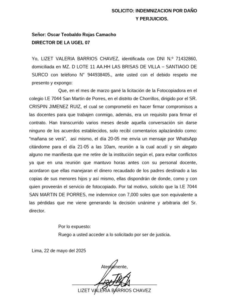 Solicitud Dirigida Al Alcalde | PDF