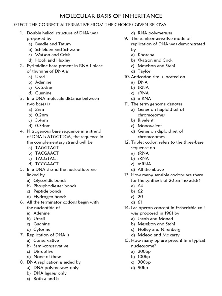 Questions For Molecular Basis of Inheritance | PDF | Dna | Rna