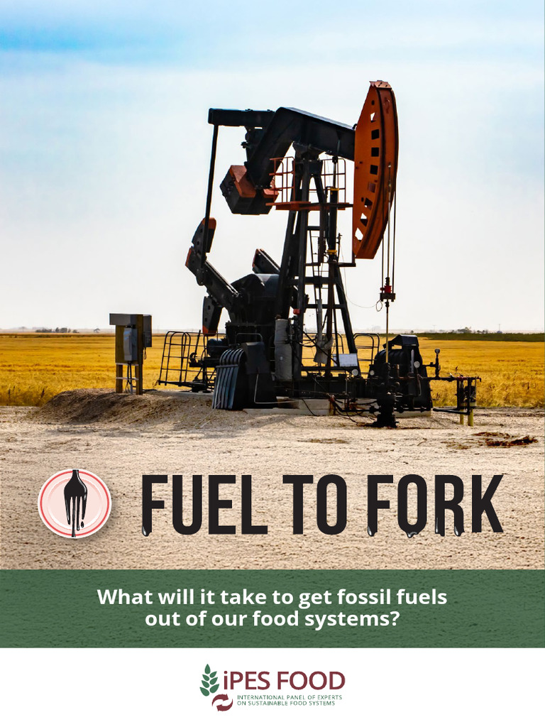 Fuel To Fork | PDF | Agriculture | Fertilizer