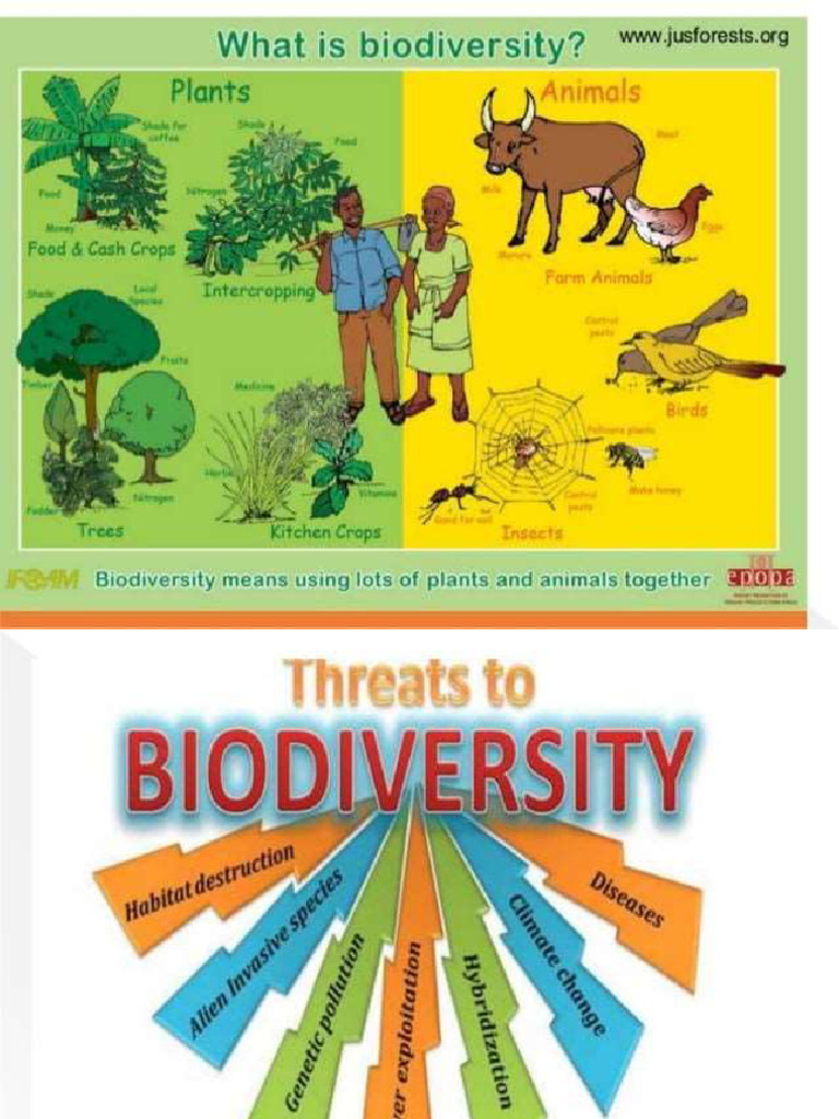 Threats To Biodiversity | PDF