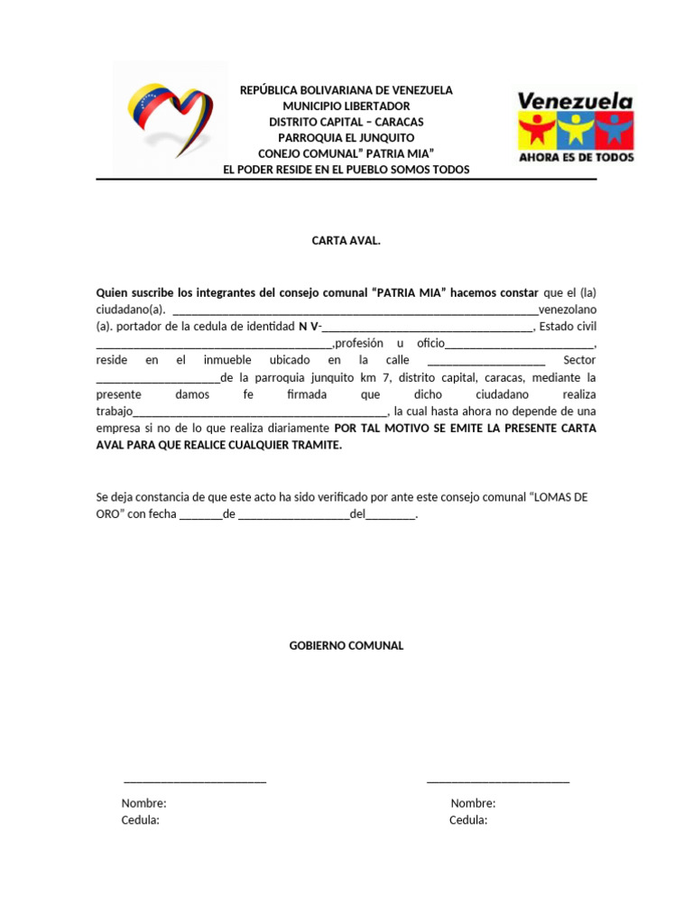 Carta Aval Junta | PDF