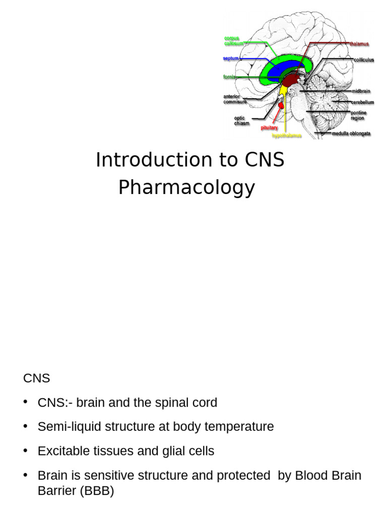 Introduction To CNS Pharmacology | PDF