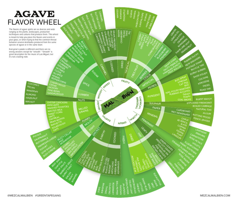 Agave Flavor Wheel Guide | PDF | Vegan Cuisine | Edible Plants