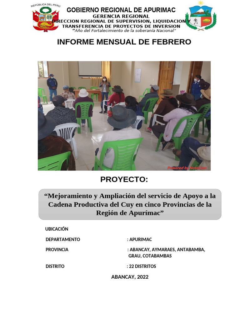 Formatos para Informe | PDF