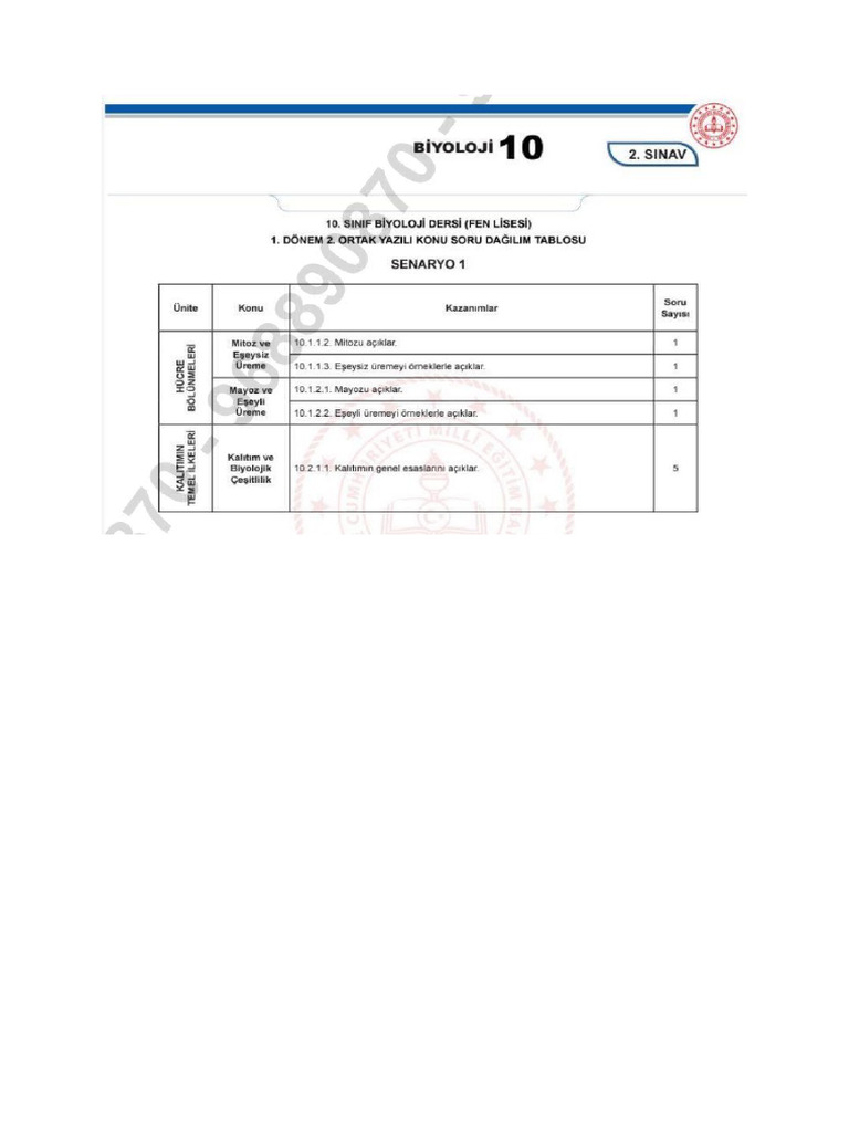 10 1D 2y Senaryo | PDF