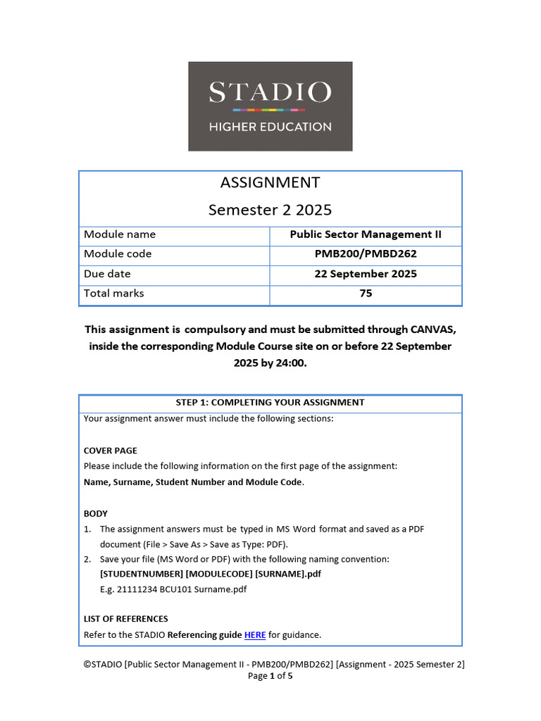 PMB201 - PMB262 2025 02 Asgmt | PDF | Microsoft Word | Computing