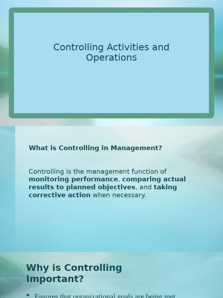 Chapter 10 Controlling | PDF | Performance Indicator | Customer Satisfaction