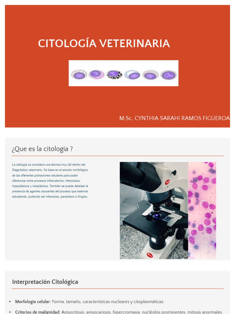 Citología Veterinaria: Análisis y Diagnóstico | PDF | Leucocito ...