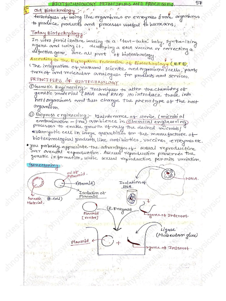 Biotechnology Hand Written Notes. | PDF