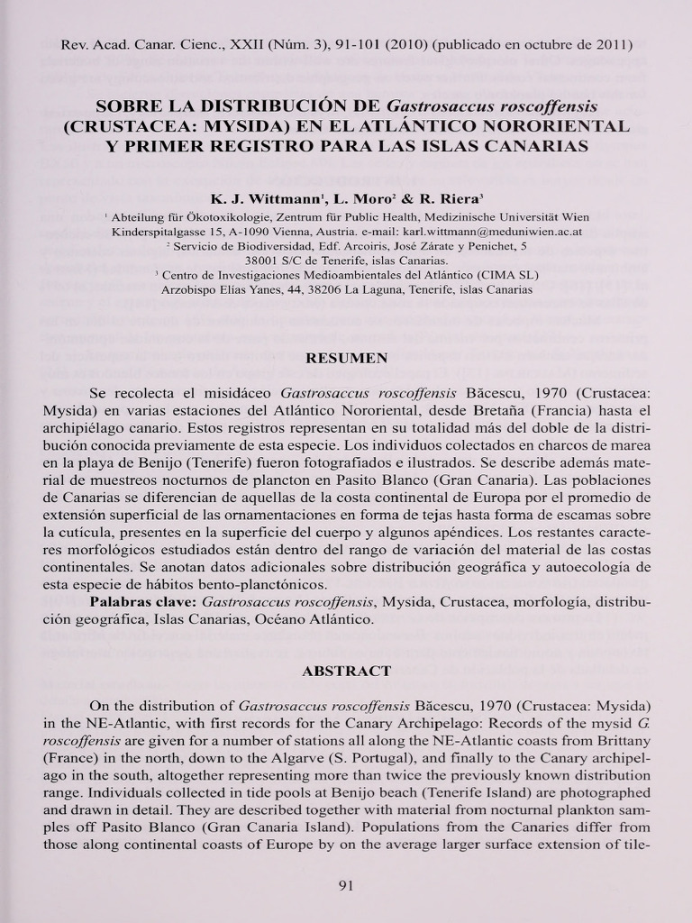 Gastrosaccus Roscoffensis | PDF