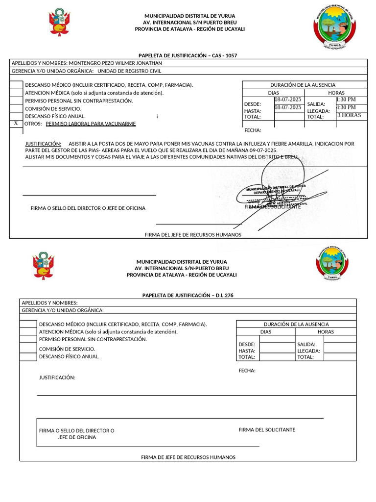 Papeleta de Salida-276-Mdy | PDF