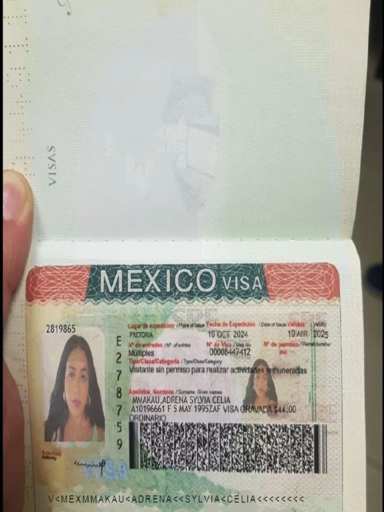 Mexico Visa | PDF