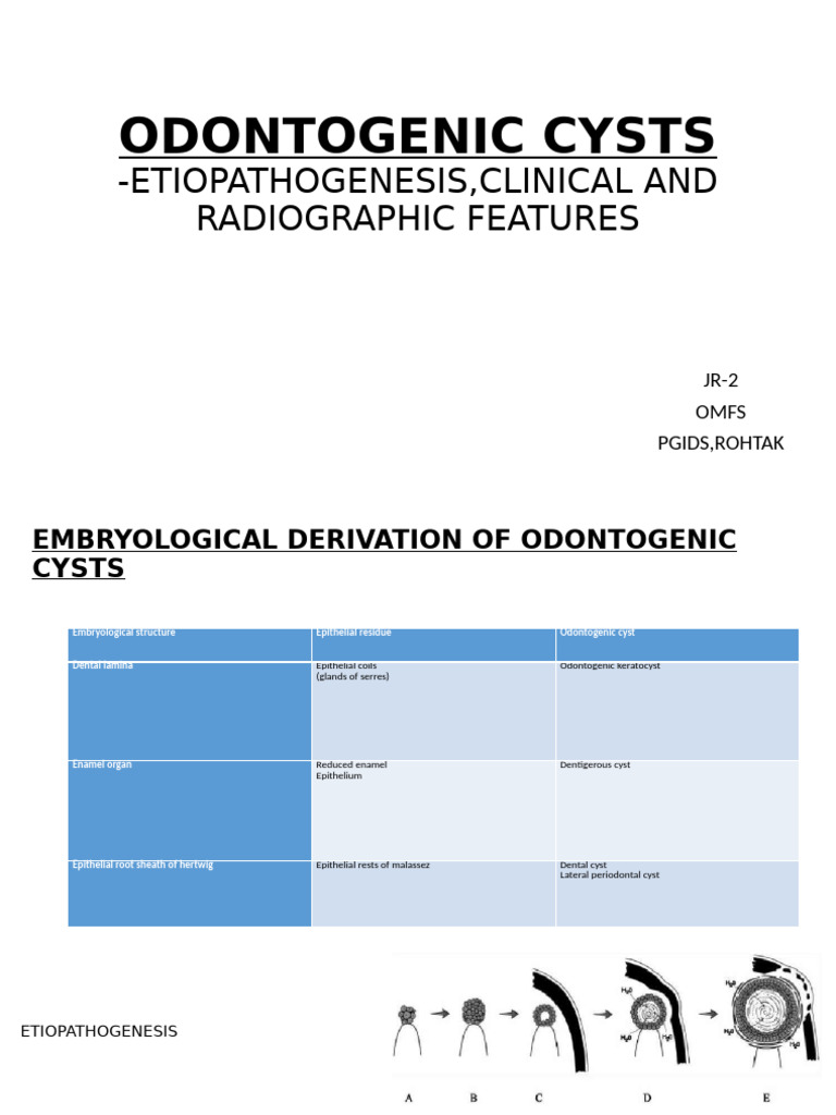 Odontogenic Cysts: Features & Pathogenesis | PDF | Medical Specialties