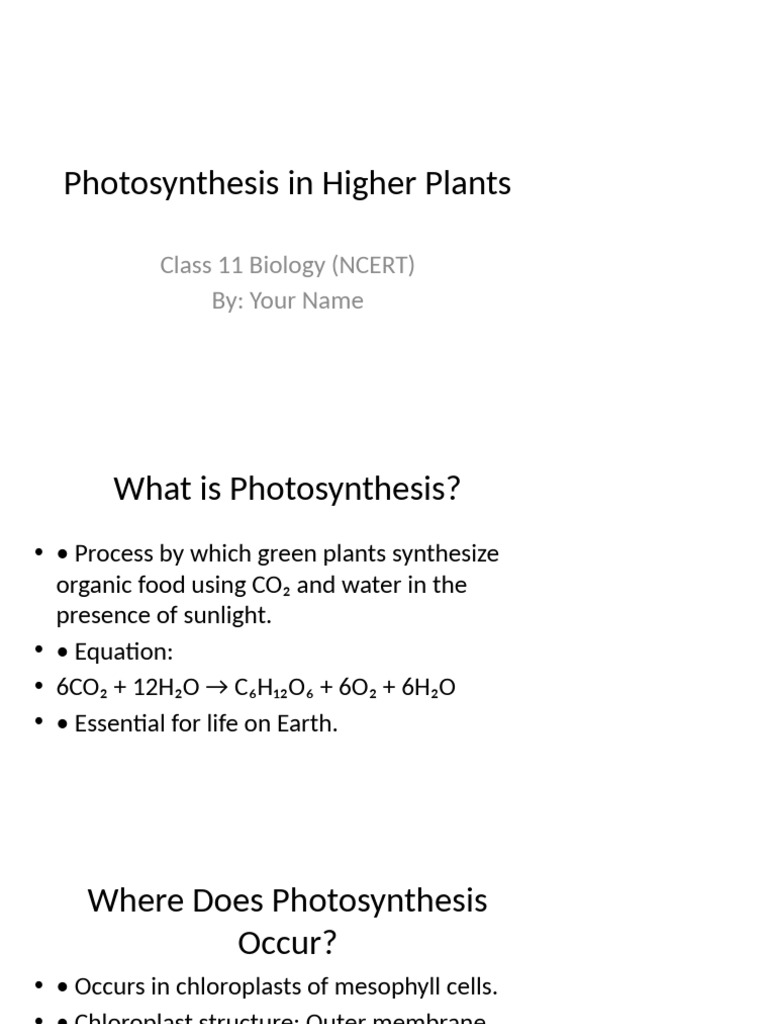 Photosynthesis Class 11 Biology NCERT | PDF | Photosynthesis | Chloroplast