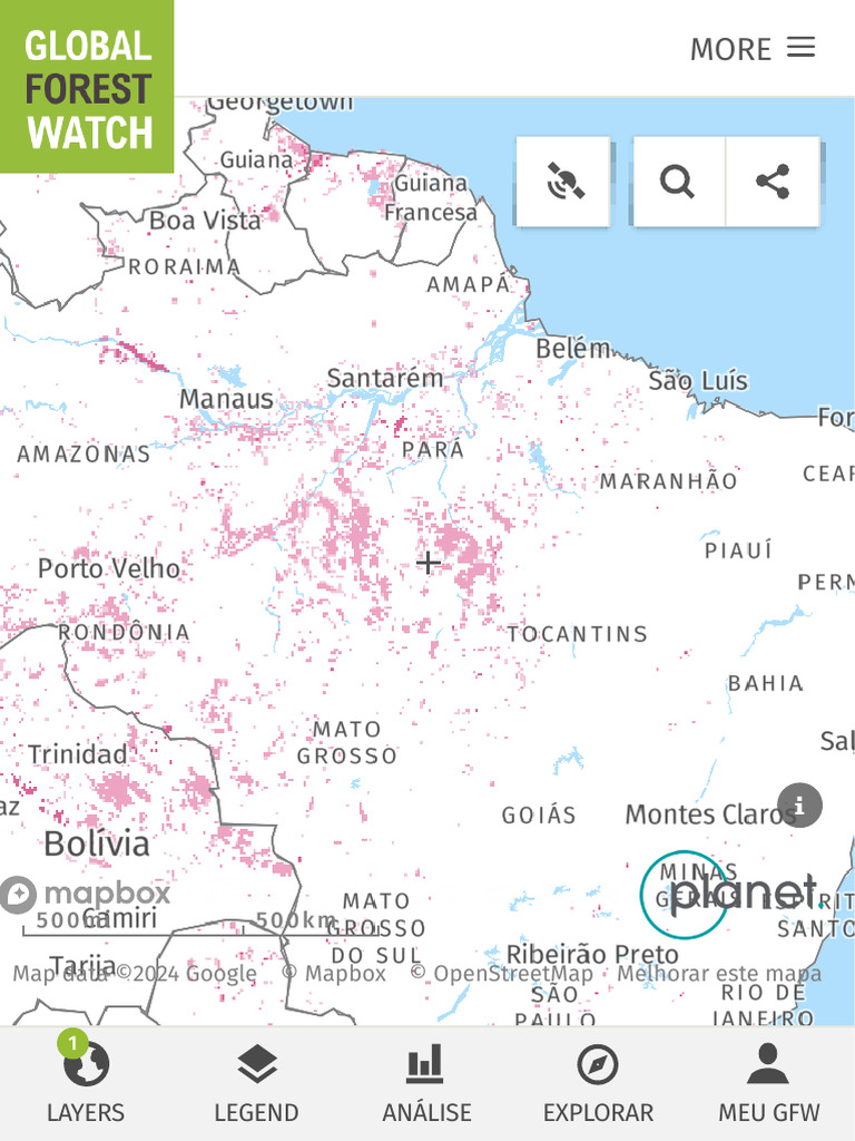 Interactive World Forest Map & Tree Cover Change Data GFW | PDF